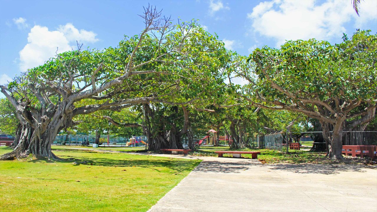 Ocean Park Beach Puerto Rico | Ocean Park Beach San Juan